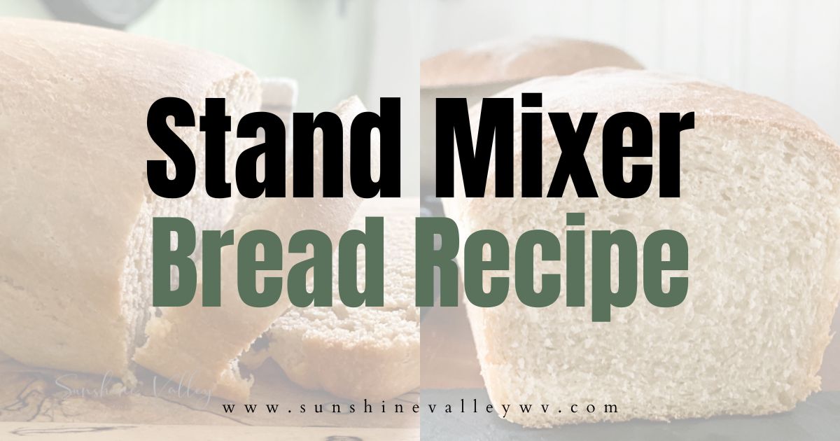 Easy Stand Mixer Bread Recipe: Homemade, Soft, and Delicious - Sunshine ...
