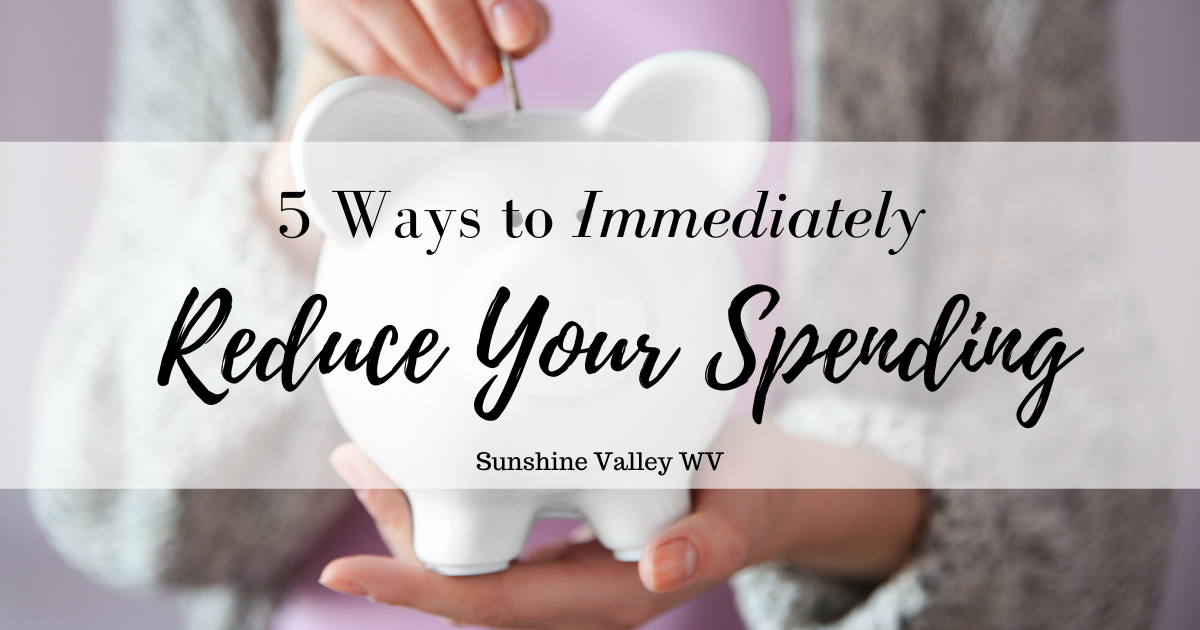 Five Easy Ways to Immediately Reduce Your Spending - Sunshine Valley