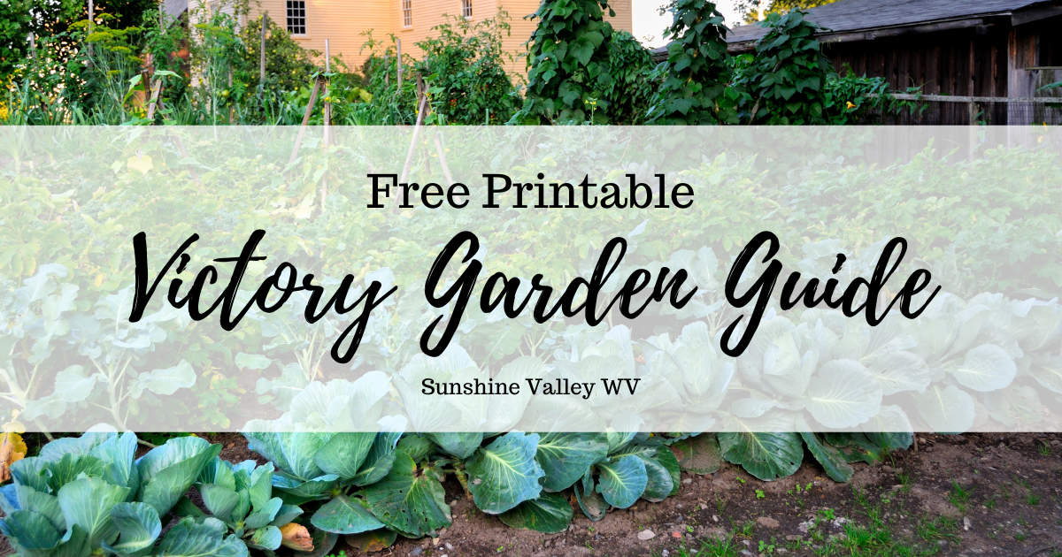 Victory Garden Planting Guide