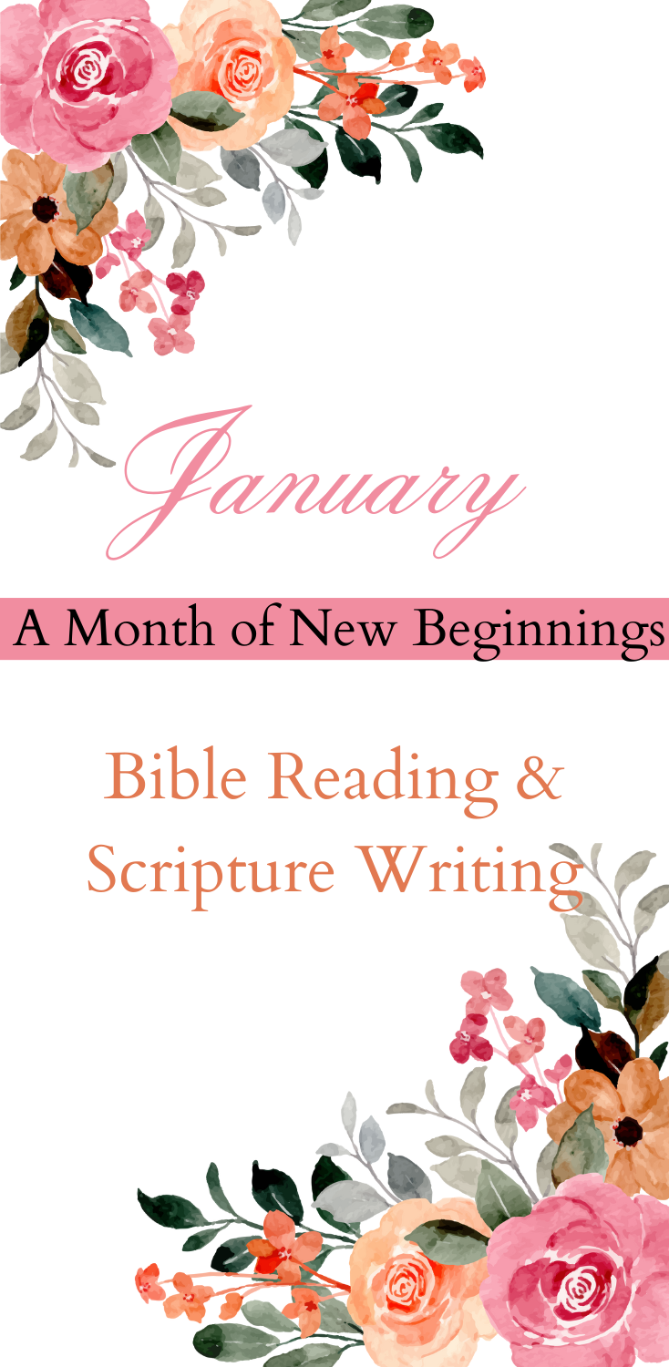 January: A Month of New Beginnings - Sunshine Valley