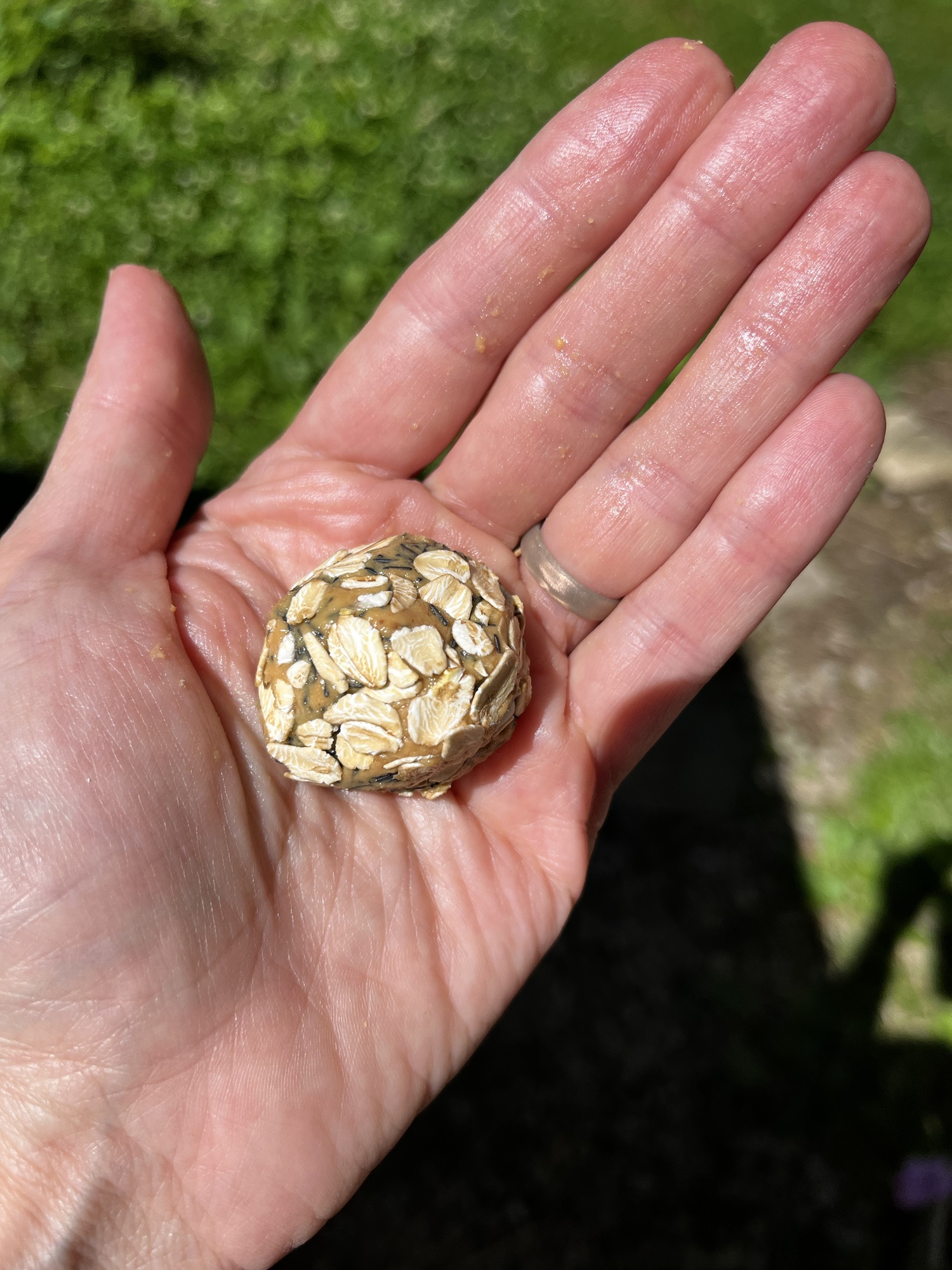 The Importance of Copper for Goats - Sunshine Valley