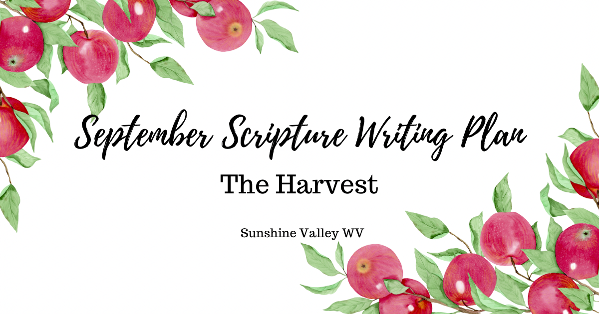 What the Bible Says About the Harvest: September Scripture Writing ...