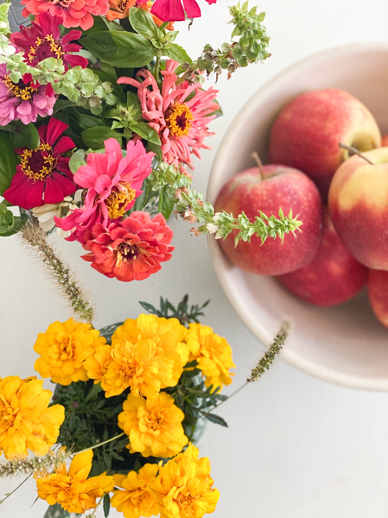 Life is What You Make It—Finding Joy in Everyday Life - Sunshine Valley