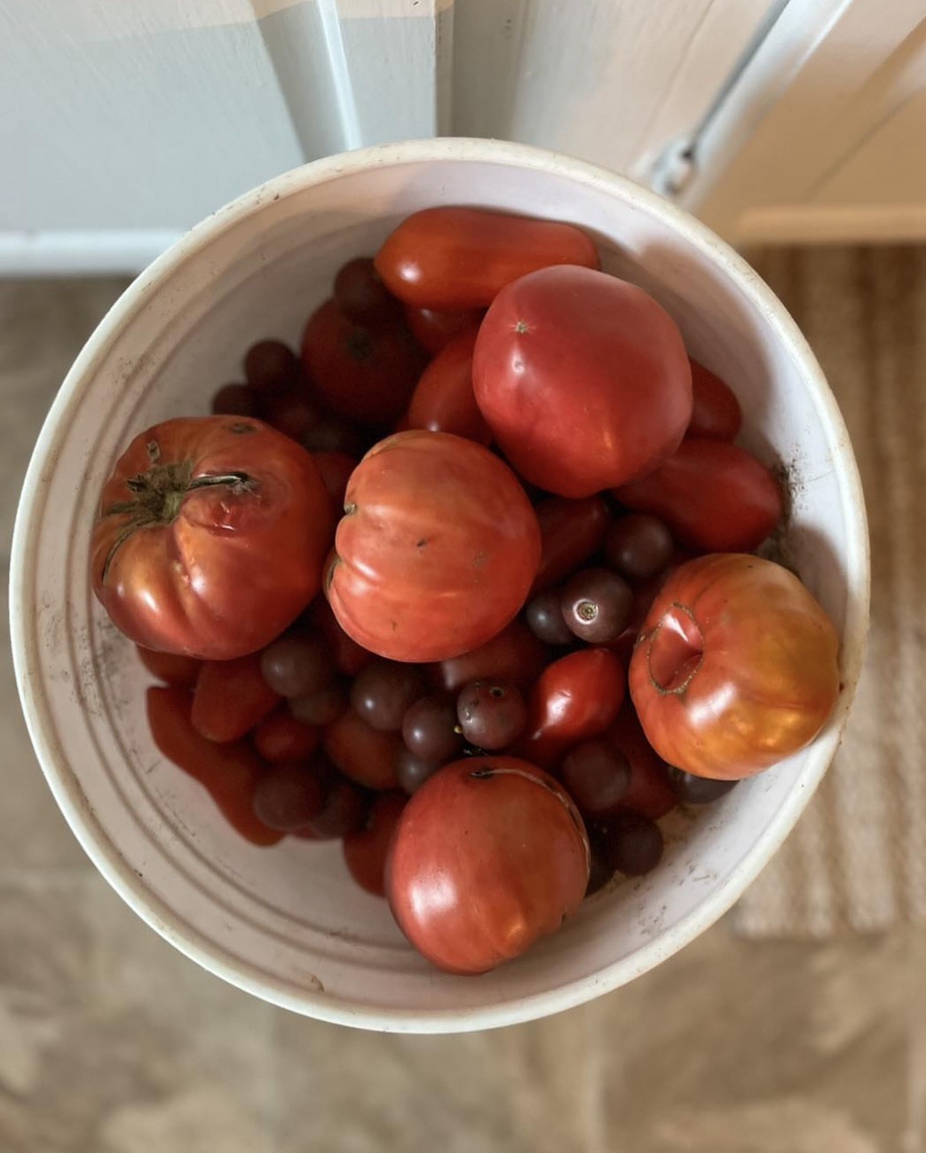 5 Simple Homestead Skills Anyone Can Learn (Even Without Land ...
