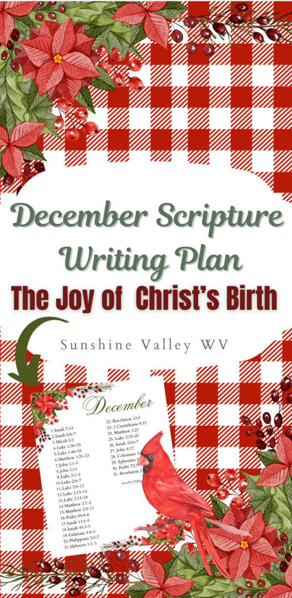 The Joy of Christ’s Birth: A December Scripture Writing Plan - Sunshine ...