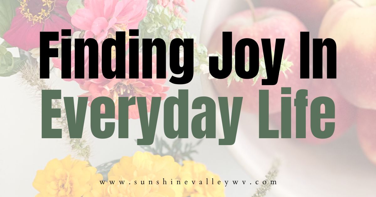 Life is What You Make It—Finding Joy in Everyday Life - Sunshine Valley