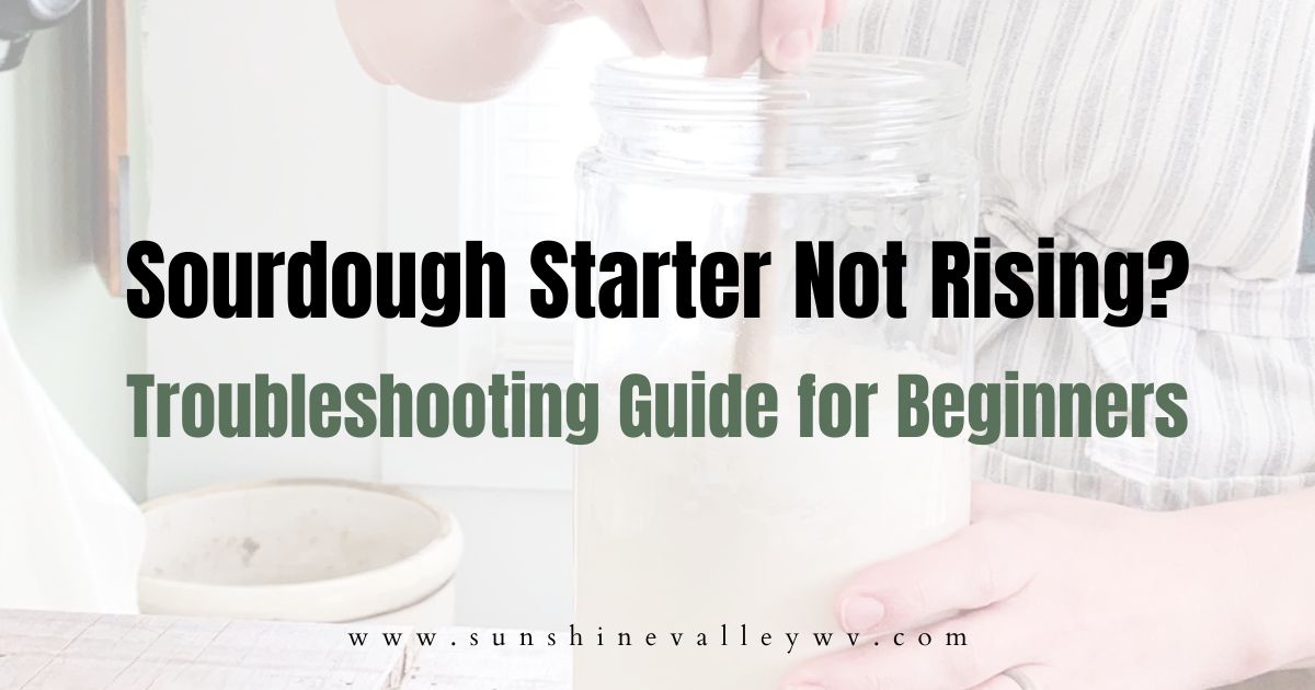 Sourdough Starter Not Rising? A Simple Troubleshooting Guide for ...