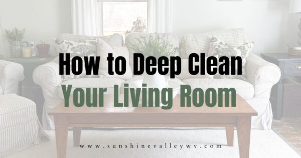 How to Deep Clean Your Living Room the Old-Fashioned Way - Sunshine Valley