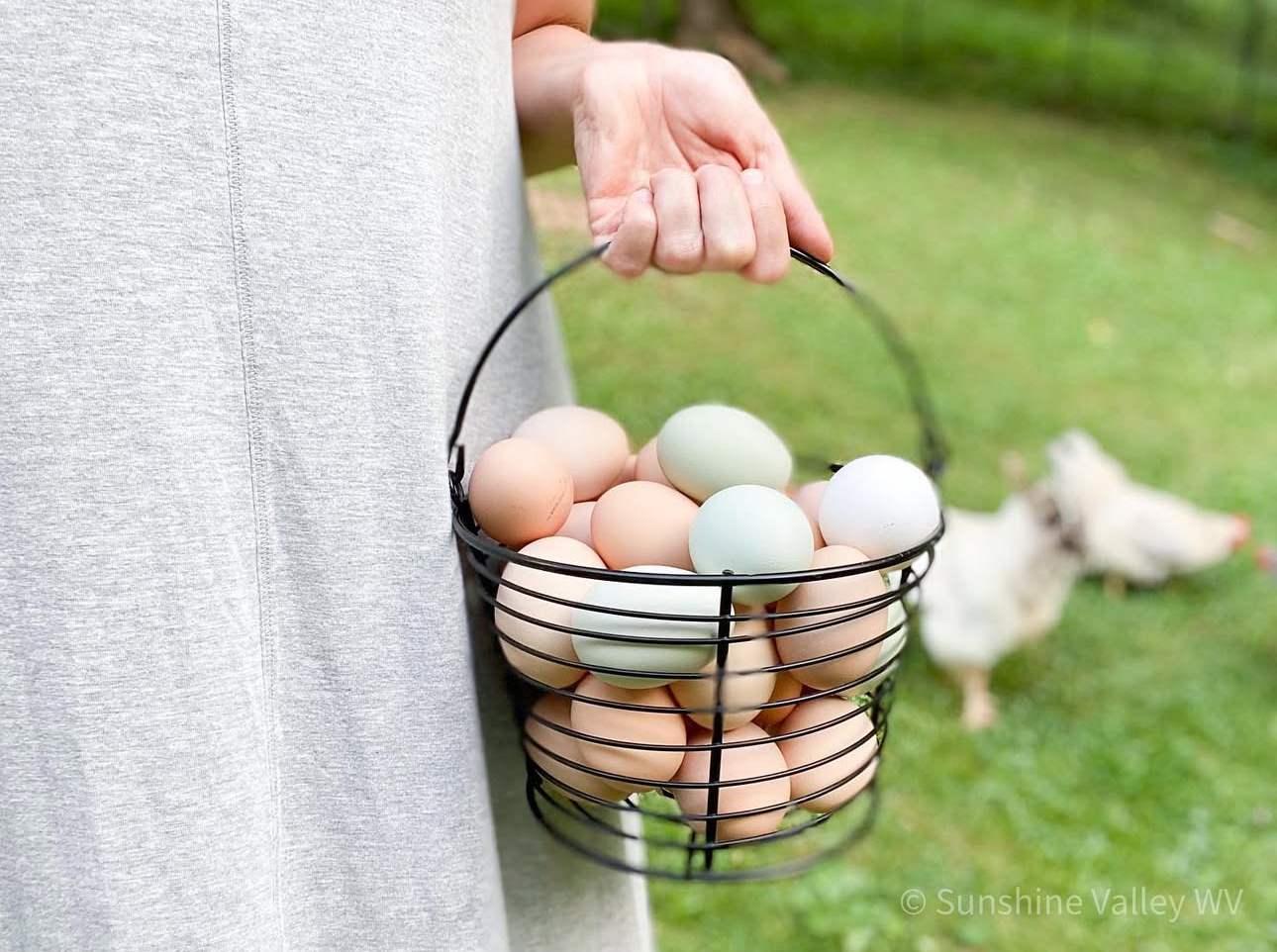 How to Prioritize Homesteading Tasks to Avoid Burnout - Sunshine Valley