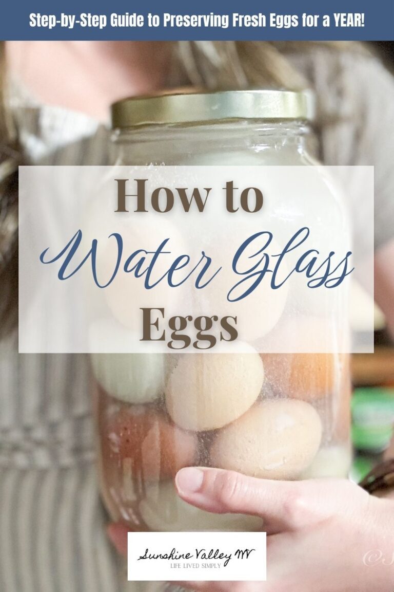 How to Water Glass Eggs: Preserve Fresh Eggs the Old-Fashioned Way ...