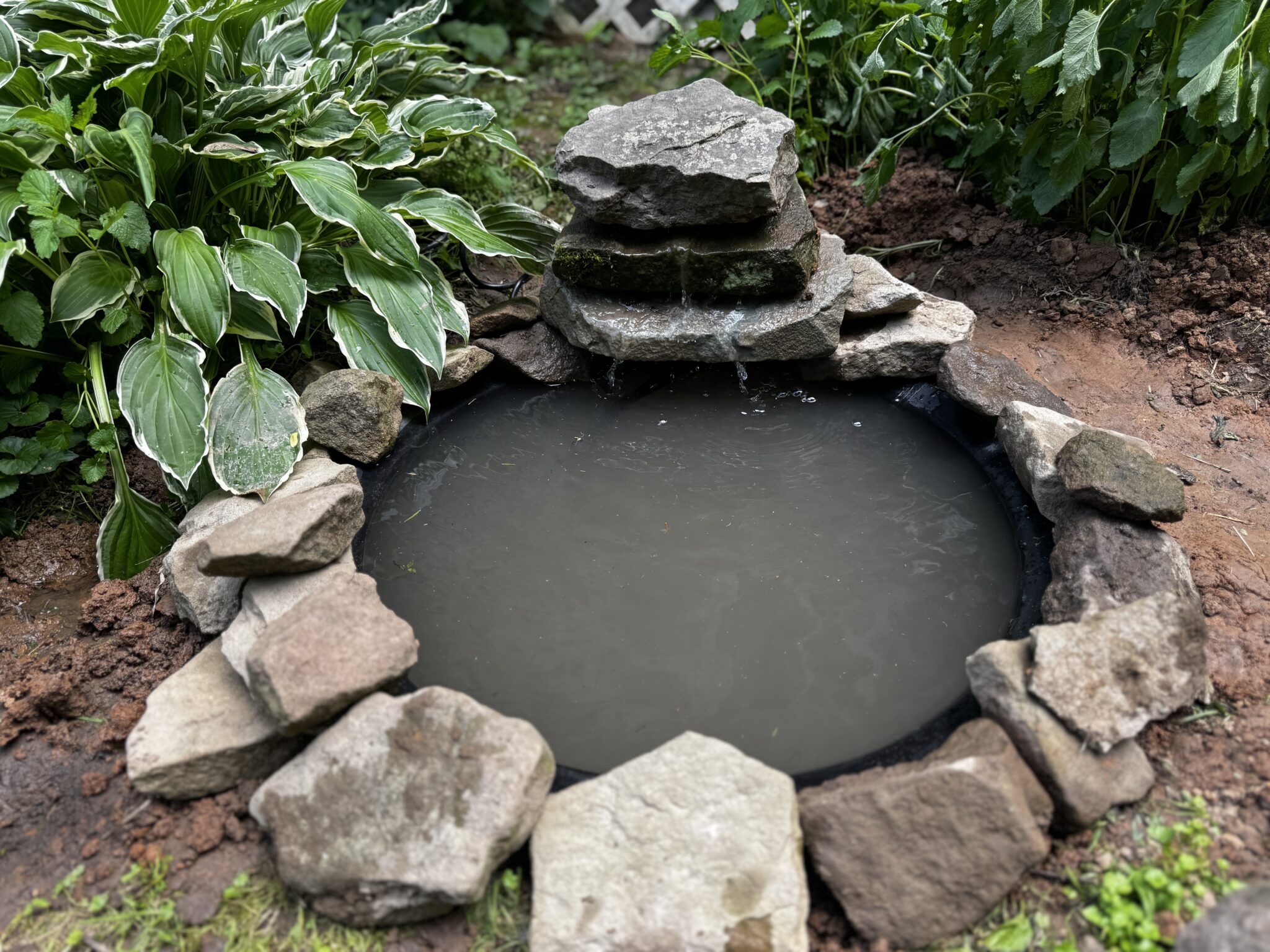 How to Build a DIY Backyard Pond with Waterfall (Simple & Budget ...