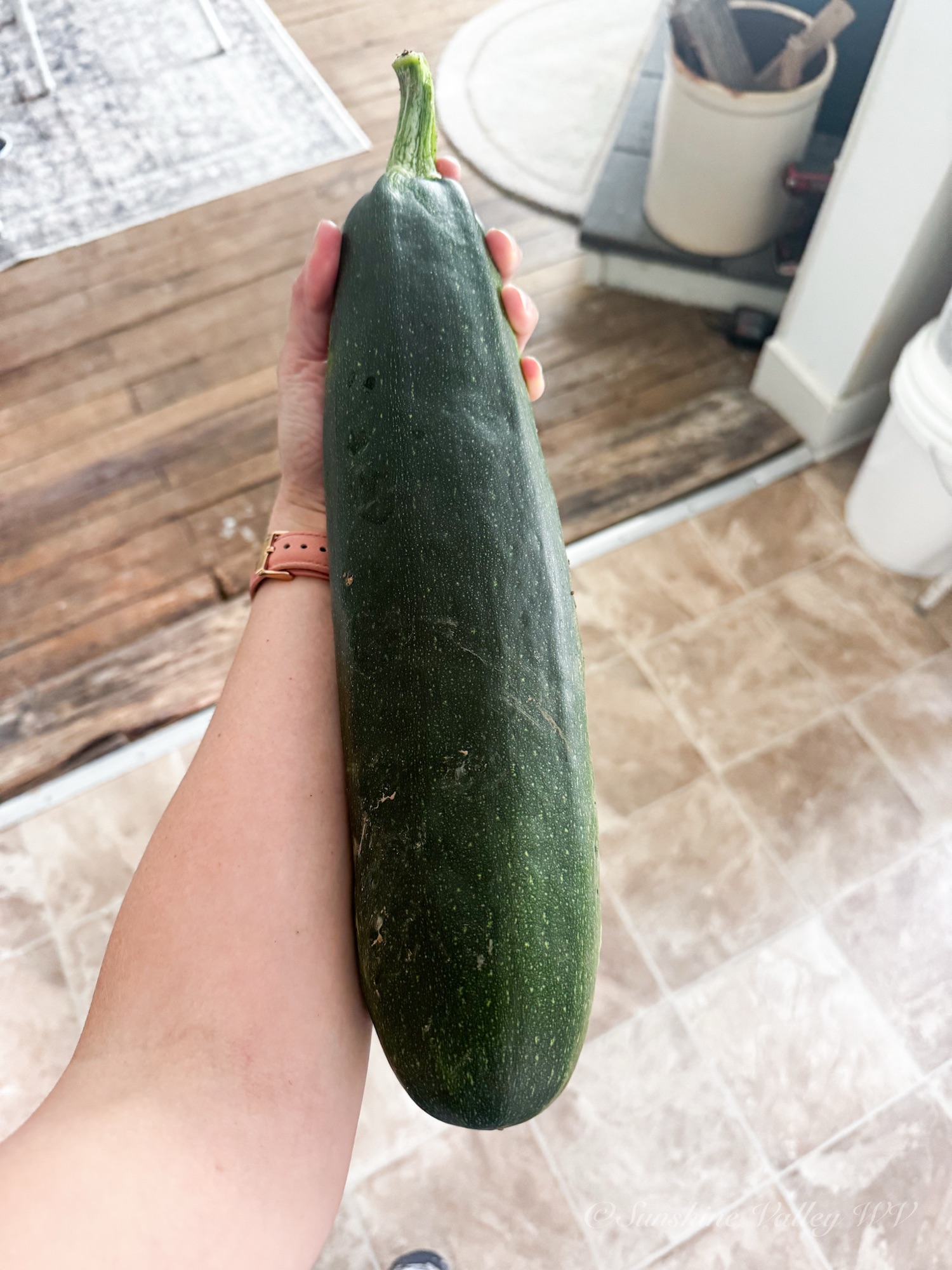 Too Much Zucchini? 10 Simple, Delicious Ways to Use Up Zucchini ...